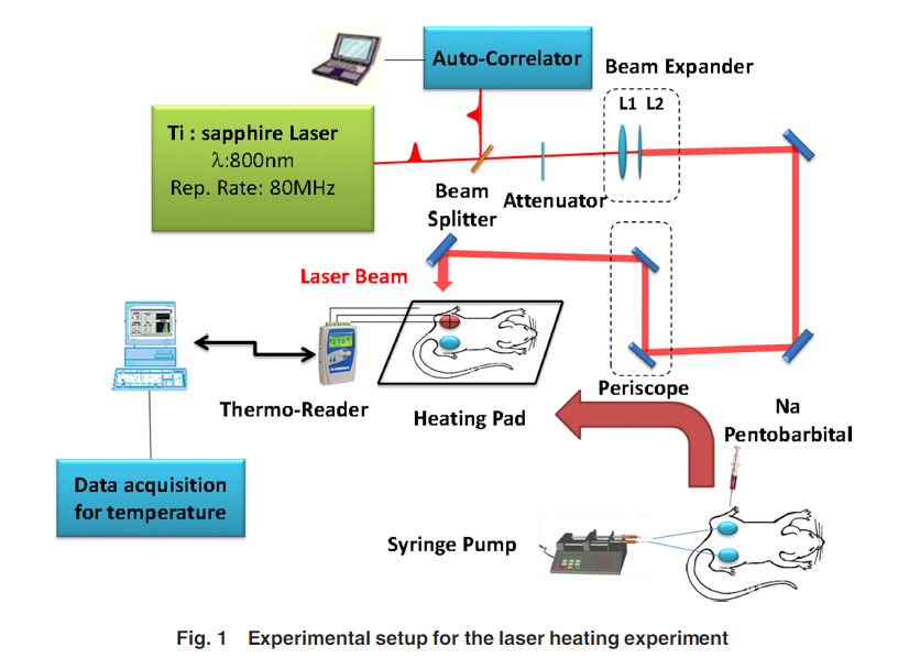 Treatment efficacy of laser photothermal therapy – Bioheat Transfer ...
